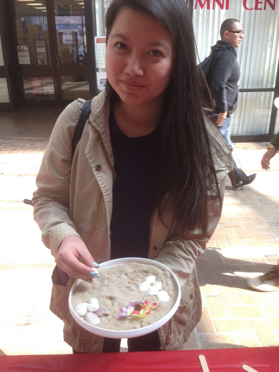 Create A Zen Garden | Stony Brook University Libraries