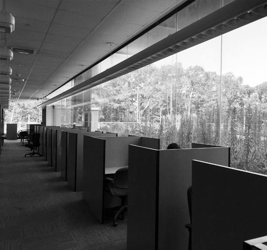 Library Concert Series: “The Art of Violin” | Stony Brook University ...