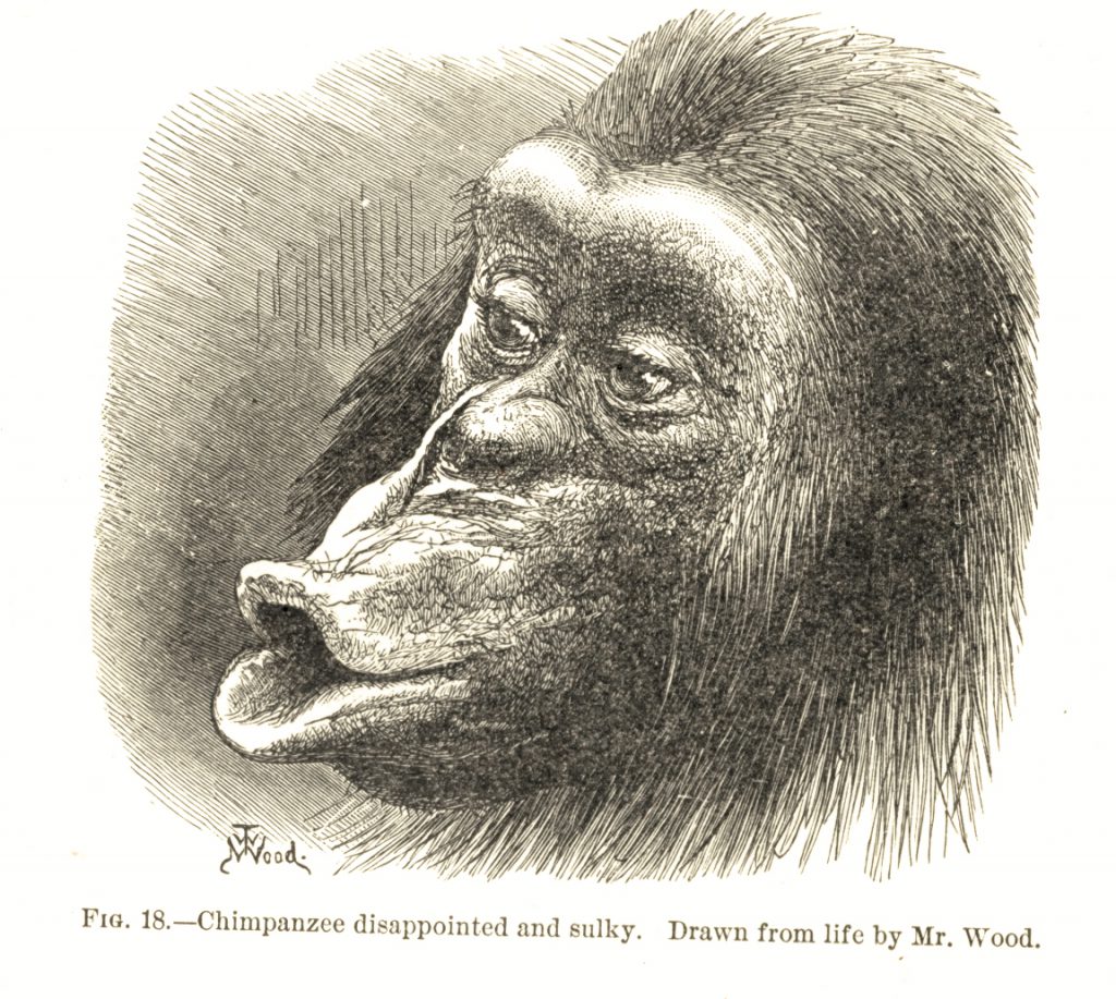 Special Collections Highlights International Darwin Day | Stony Brook ...