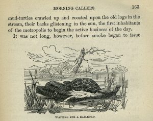 Gilded 163 | Stony Brook University Libraries