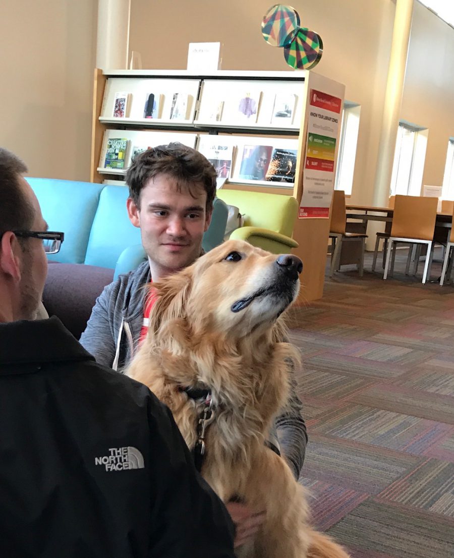 Therapy Dogs Tonight in Southampton | Stony Brook University Libraries