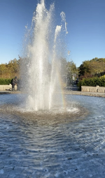 Libraries Social Media Interns Wrap Up | Stony Brook University Libraries